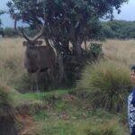 Sri Lanka 5 Day Privet Tour - Who Should Consider This Tour?