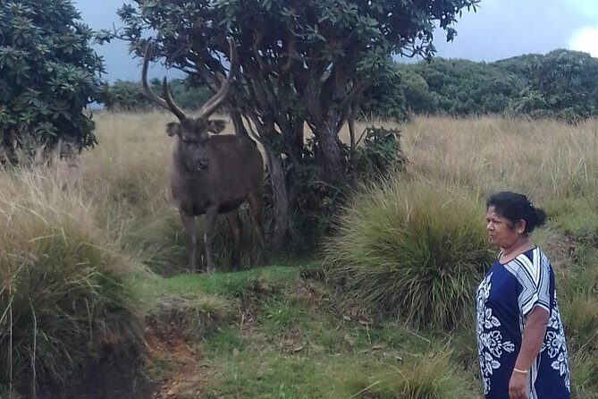 Sri Lanka 5 Day Privet Tour - Who Should Consider This Tour?