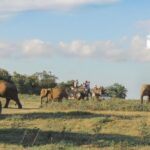 Sri Lanka Aborigine Tour (4 Days) - FAQ