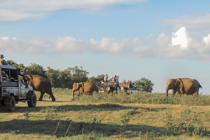 Sri Lanka Aborigine Tour (4 Days) - FAQ