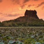 Sri Lanka Adventure and Camping Tour - Who Is This Tour Best For?