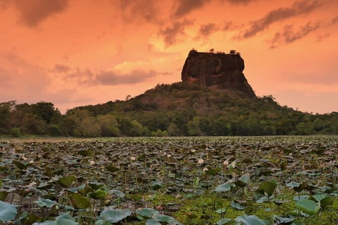 Sri Lanka Adventure and Camping Tour - Who Is This Tour Best For?