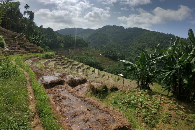 Sri Lanka All Inclusive Day Tour: Hiking & Activities Farmers Village Kandy - Poddalgoda Village: Savor and See