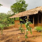 Sri Lanka: Ceylon Cinnamon Experience & Spice Garden Tour - Who Should Consider This Tour?