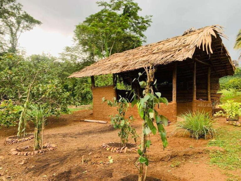 Sri Lanka: Ceylon Cinnamon Experience & Spice Garden Tour - Who Should Consider This Tour?