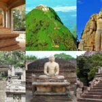 Sri Lanka Cultural Tour 6D /5N with driver, vehicle and H/B accommodations - Detailed Breakdown of the Itinerary