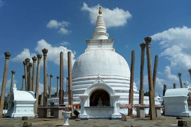 Sri Lanka Experience - 12 Days Private Tour - Who Will Love This Tour?