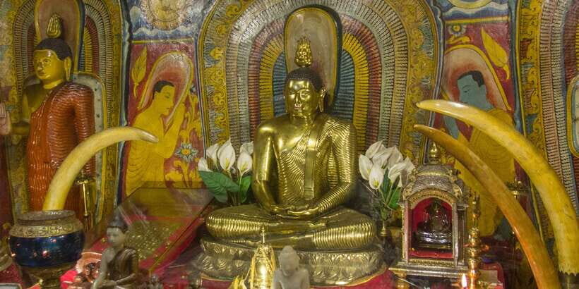 Sri Lanka hill country bless Kandy, Nuwara eliya and Ella - What Makes This Tour Stand Out?