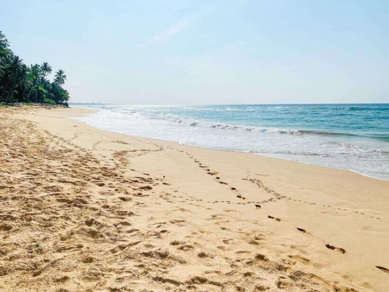 Sri Lanka: History ,Wildlife, Beaches, 7 Days Private Tour - Detailed Day-by-Day Breakdown