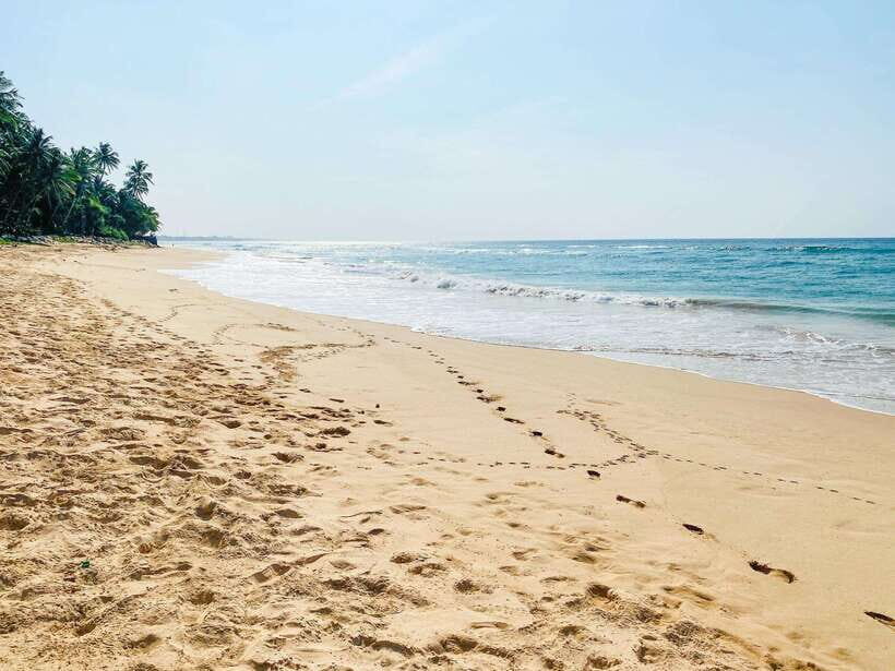 Sri Lanka: History ,Wildlife, Beaches, 7 Days Private Tour - Detailed Day-by-Day Breakdown