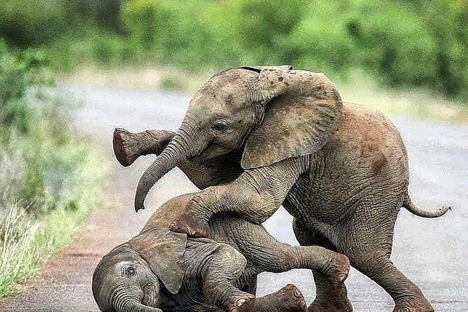 Sri Lanka Leopard Trail ( 15 N/ 16 D) - Final Thoughts