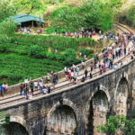 Sri Lanka Multi-Days Car Rent With English Speaking Driver - What to Expect on Your Journey