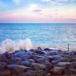 Sri Lanka Personal Tour Driver in private vehicle - Detailed Breakdown of the Tour Experience