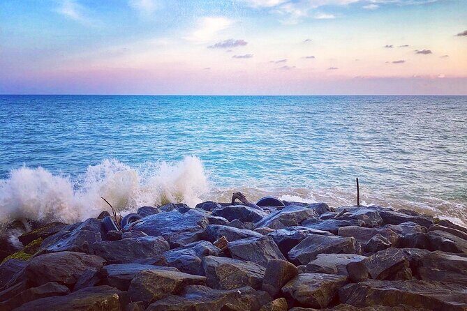 Sri Lanka Personal Tour Driver in private vehicle - Detailed Breakdown of the Tour Experience