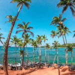 Sri Lanka Private 8-day Tour; Transport, Guide, Hotels, Food - What to Expect from the Tour