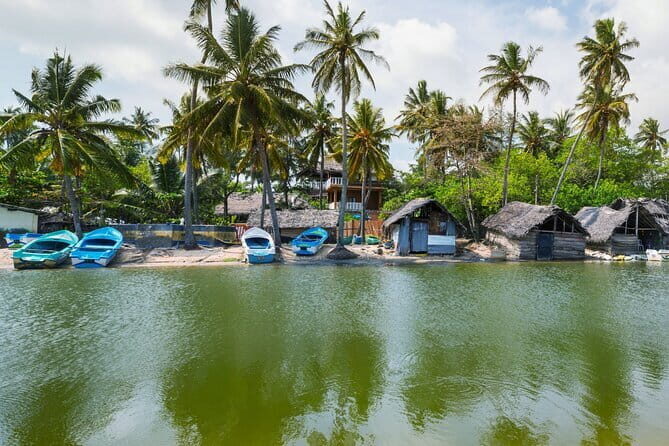 Sri Lanka Private Holiday Round Tour with Driver & Vehicle - How This Tour Works for Visitors: A Detailed Breakdown