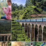 Sri Lanka Private Tour 10 DAYS Driver/Vehicle/Accommodation H/B - The Sum Up