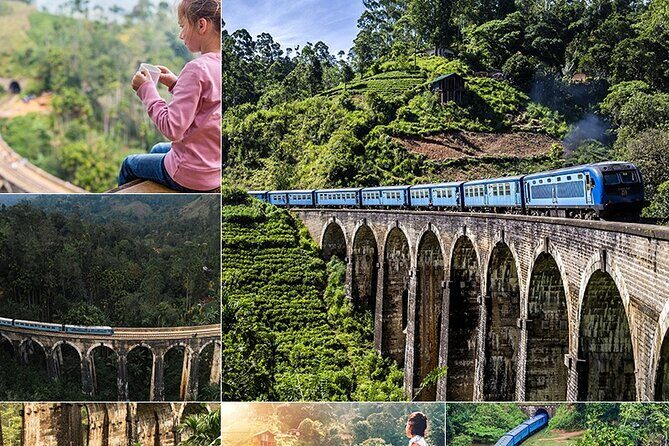 Sri Lanka Private Tour 10 DAYS Driver/Vehicle/Accommodation H/B - The Sum Up