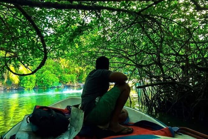 Sri Lanka Private Tour Guide, Driver with Car - Transportation & Pricing: What Does That Mean for You?