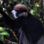 Sri Lanka Sinharaja Rain Forest Tour with Transport - Breaking Down the Itinerary