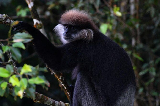 Sri Lanka Sinharaja Rain Forest Tour with Transport - Breaking Down the Itinerary