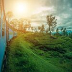 Sri Lanka Tour Package in 05 Nights 06 Days - The Experience: What You Can Expect