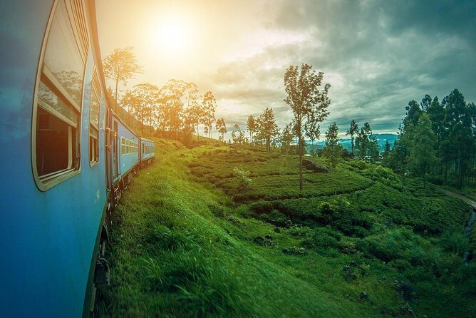 Sri Lanka Tour Package in 05 Nights 06 Days - The Experience: What You Can Expect