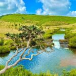 Sri Lanka Unveiled: 12 Nights Complete Experience Package - Value and Practical Tips