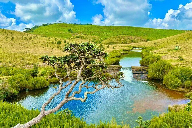 Sri Lanka Unveiled: 12 Nights Complete Experience Package - Value and Practical Tips