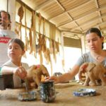 Sri Lankan Crafts and Spices Tour from Kandy - A Closer Look at the Itinerary: What Makes Each Stop Special