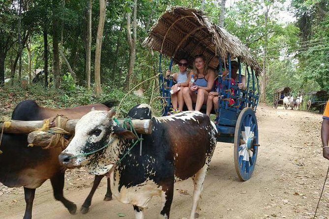 Sri Lankan Village Tour With Cooking Class - Practical FAQs