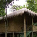 Srimangal Overnight Private Tour from Dhaka - Who Will Love This Tour?