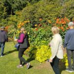 Stanley Park Tour:VIP CarSmall Group,Affordable,Valuable,Comfort - The Itinerary Breakdown: What You’ll See and Do