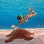 Star and Turtle Sanctuary Snorkeling Tour in Cozumel - Itinerary Breakdown