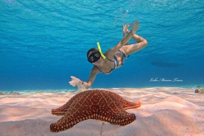 Star and Turtle Sanctuary Snorkeling Tour in Cozumel - Itinerary Breakdown