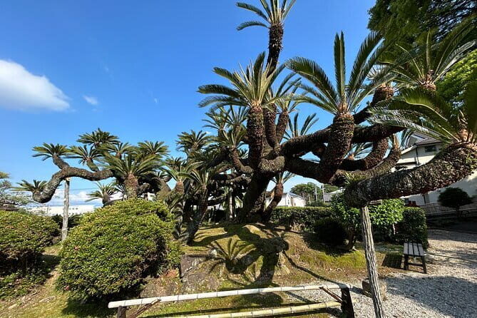 Step-Free Easy going tour from Shimizu Port / Van Taxi - The Itinerary: Step-by-Step