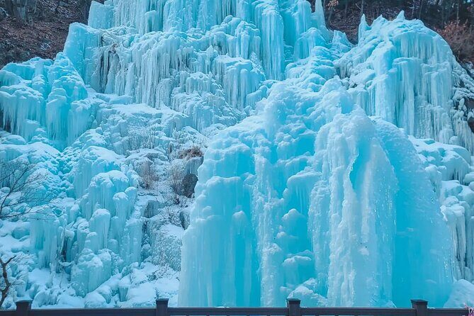 Strawberry & Eobi Valley & Nami Island & Garden of Morning Calm - Authentic Experiences and Traveler Perspectives