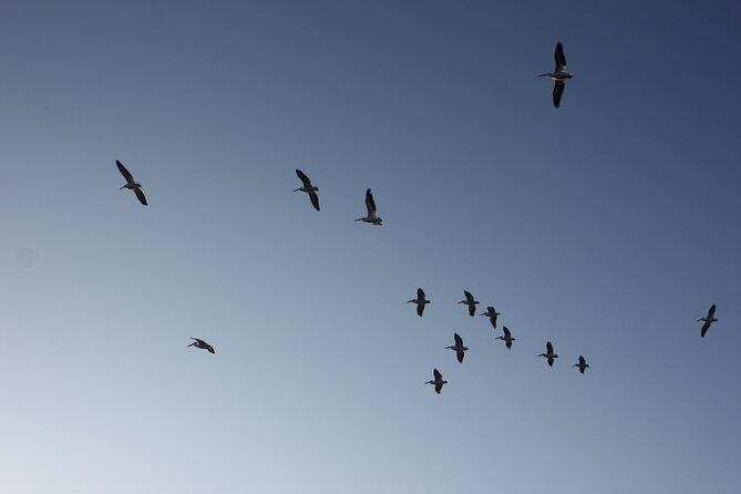 Stroll in the famous floating gardens of ancient Mexico - FAQs