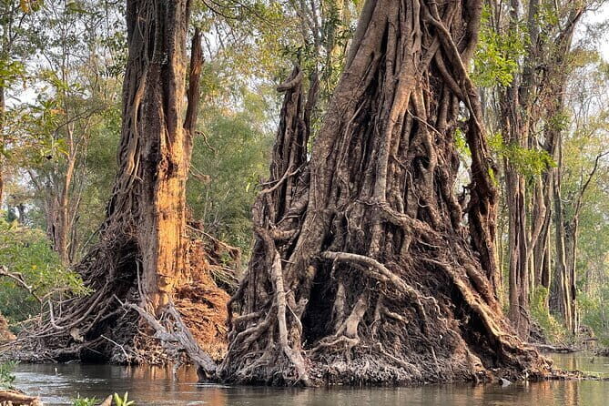 Stung Treng Canoeing In Mekong River - The Itinerary: A Closer Look