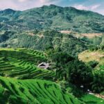 Stunning Terraced Rice Fields on 2-Day Trekking - Frequently Asked Questions