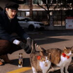 Stylish Snap Tour with Seoul Coolest Young Photographers - The Itinerary Breakdown