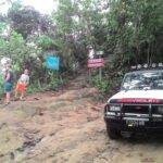 Sukamade Adventure -Turtle Beach Tour - An In-Depth Look at the Sukamade Turtle Beach Tour