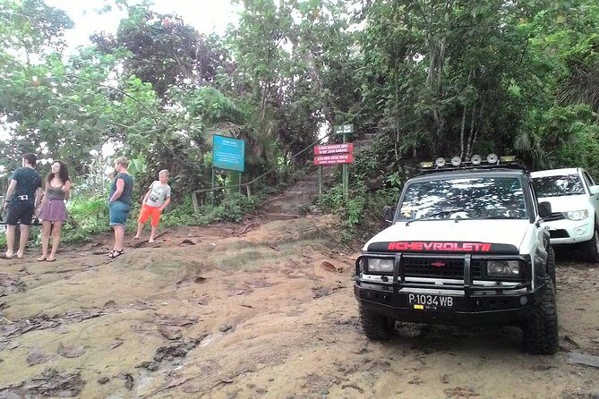 Sukamade Adventure -Turtle Beach Tour - An In-Depth Look at the Sukamade Turtle Beach Tour