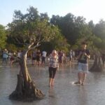 Sumba Adventure 5 Days 4 Nights - Transportation and Group Size