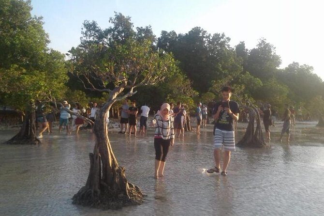 Sumba Adventure 5 Days 4 Nights - Transportation and Group Size