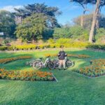 Summer of Love San Francisco Guided eBike Tour Golden Gate Park - Why This Tour Offers Great Value