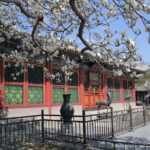 Summer Palace+Ming Tombs/Heaven Temple/China National Museum Tour - A Closer Look at the Itinerary