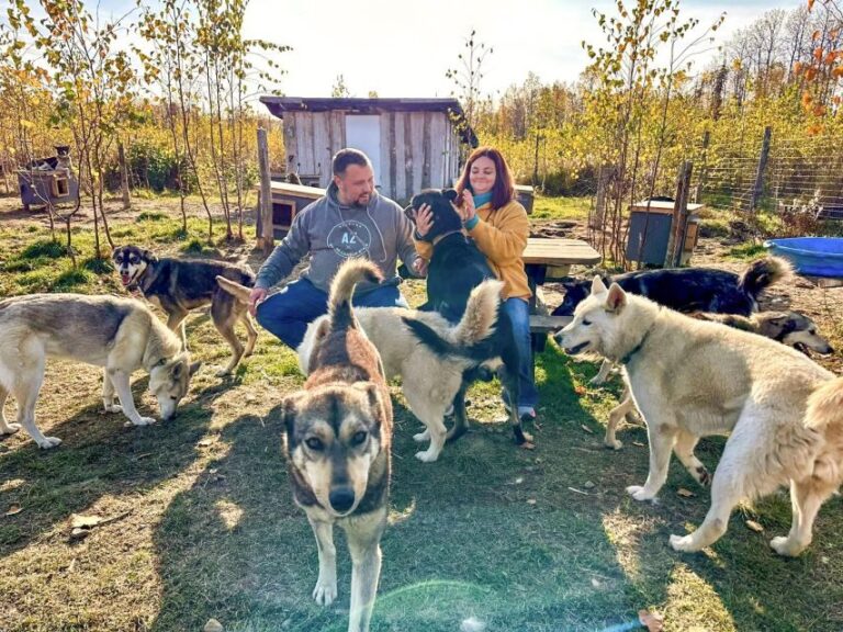 Summer Sled Dog Kennel Tour - Who Will Appreciate This Tour?