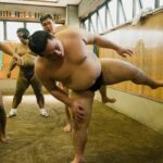 Sumo Training Session - The Cost and Its Value