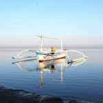 Sunrise Dolphin Wacthing & Menjangan Island Snorkeling Day Trip - A Complete Guide to the Sunrise Dolphin Watching & Menjangan Island Snorkeling Tour